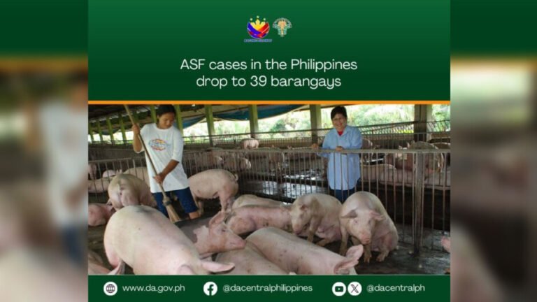 Kaso ng ASF sa bansa, patuloy sa pagbaba